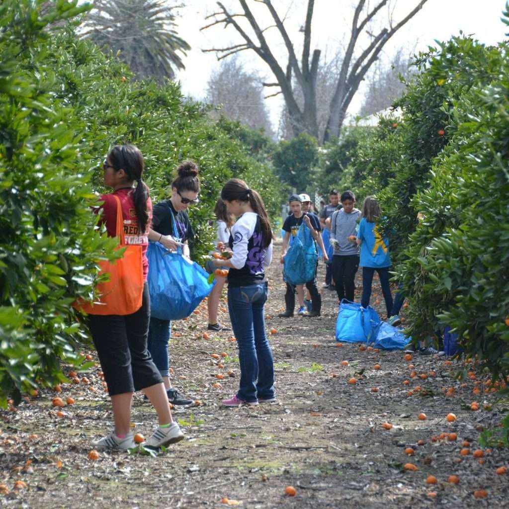 Volunteer – FoodLink for Tulare County